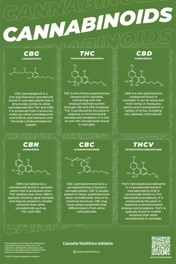 Demystifying Cannabinoids: Origins, Derivatives, and Exploration ...